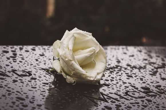 Do I Have a Need, To Grieve??? – Wannabe Christian Doorman